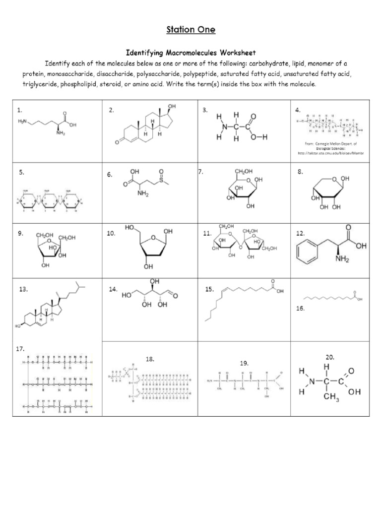 Molecule Worksheet | PDF