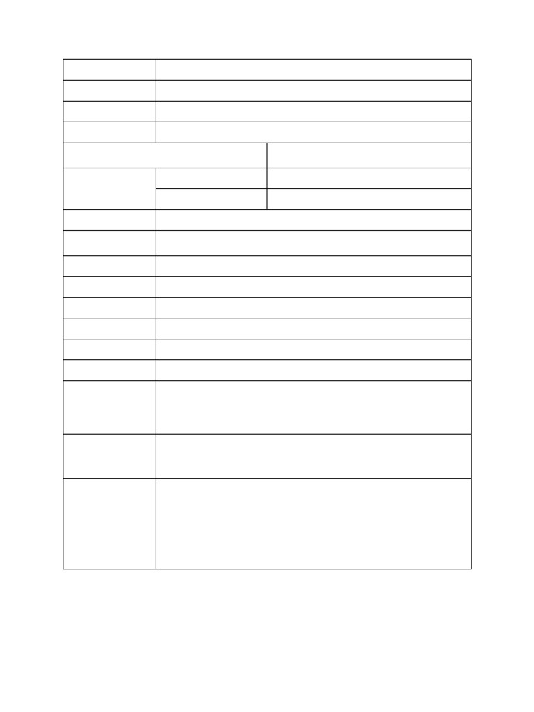 FSDS Pre-Inspection Format | PDF
