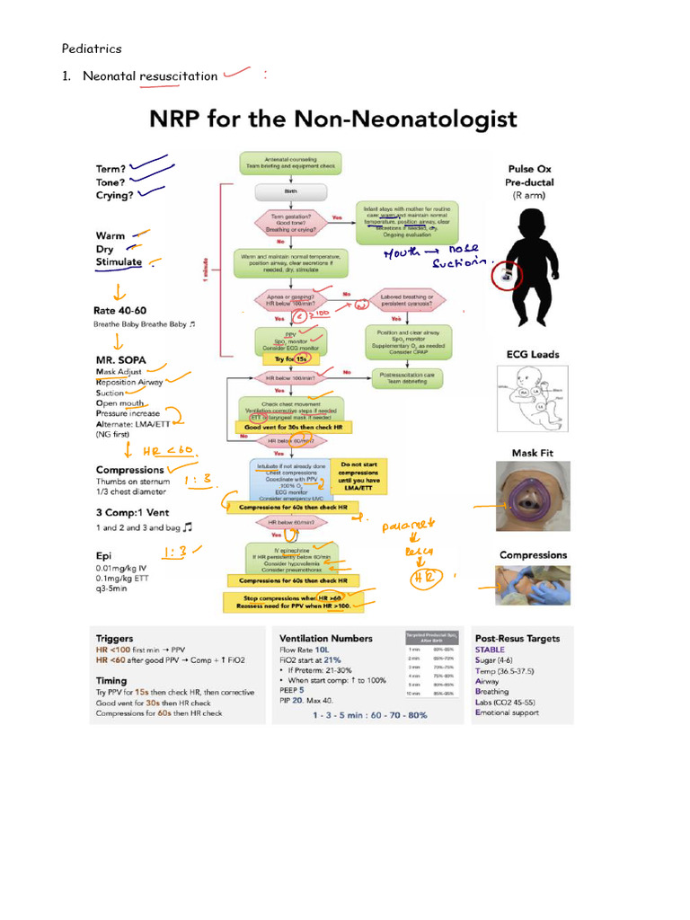 Imp Topics Pedia Explained | PDF | Congenital Heart Defect ...