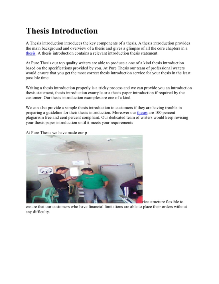 Thesis Introduction | PDF