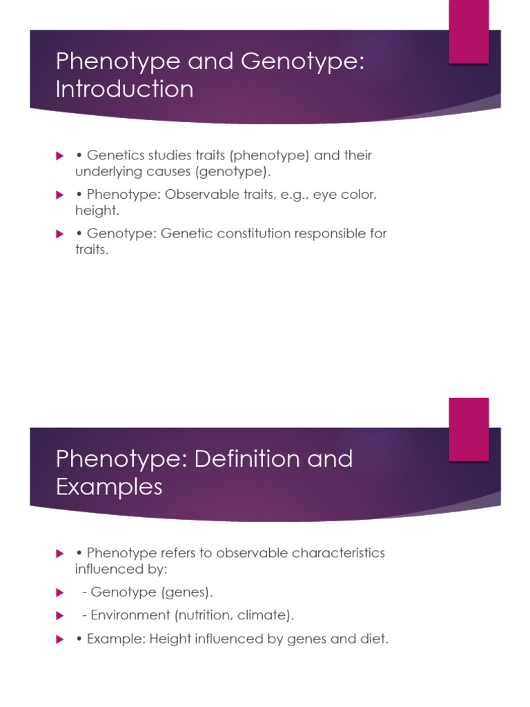Genetic Concepts Phenotype Genotype | PDF | Genotype | Ploidy