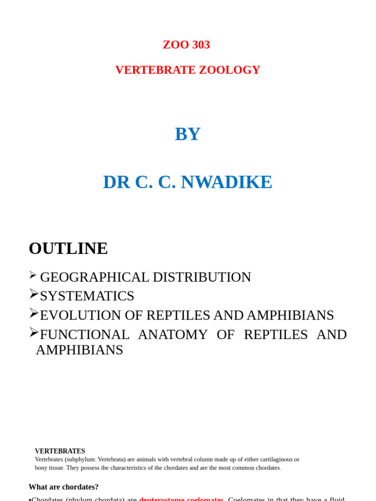 Zoo 303 - Vertebrate Zoology Powerpoint | PDF | Amphibian | Lung