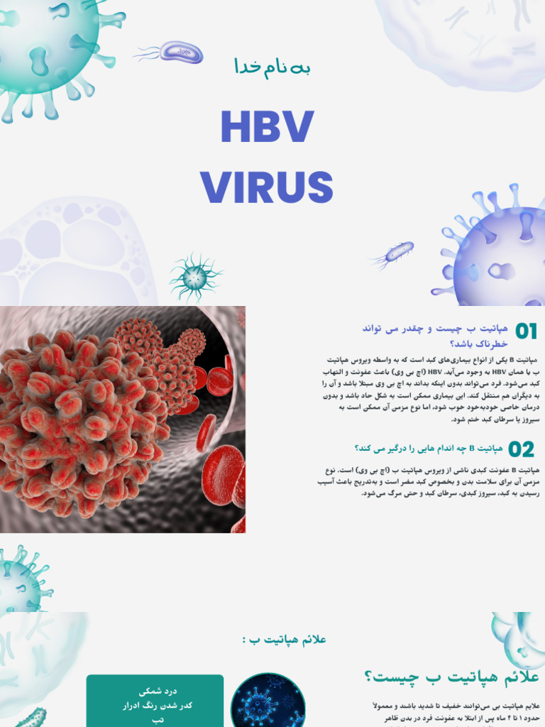 HBV Virus | PDF