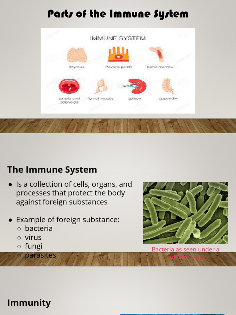 Immune system | PDF | Immune System | White Blood Cell
