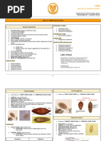 Trematodes Overview and Hosts | PDF | Parasitology
