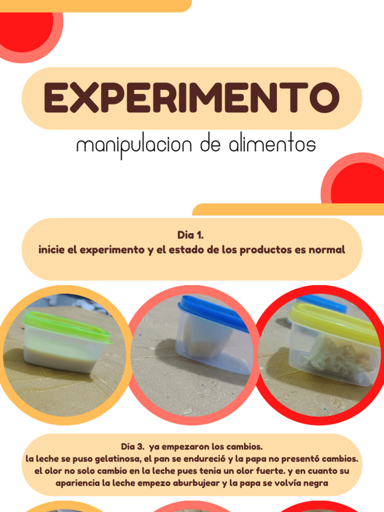Cambios en Alimentos durante Experimento | PDF