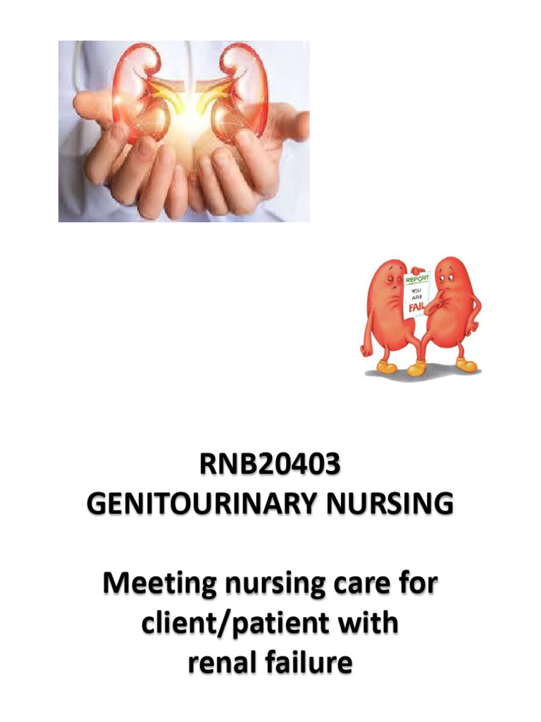 Renal Failure Nursing Care Guide | PDF | Chronic Kidney Disease | Kidney