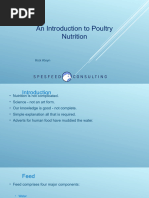Hisex Brown Layer Management Guide | PDF | Selective Breeding | Chicken