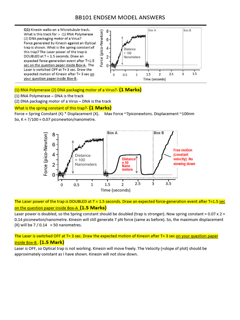 Endsem Paper Solutions (4) | PDF | Microtubule | Cell Biology