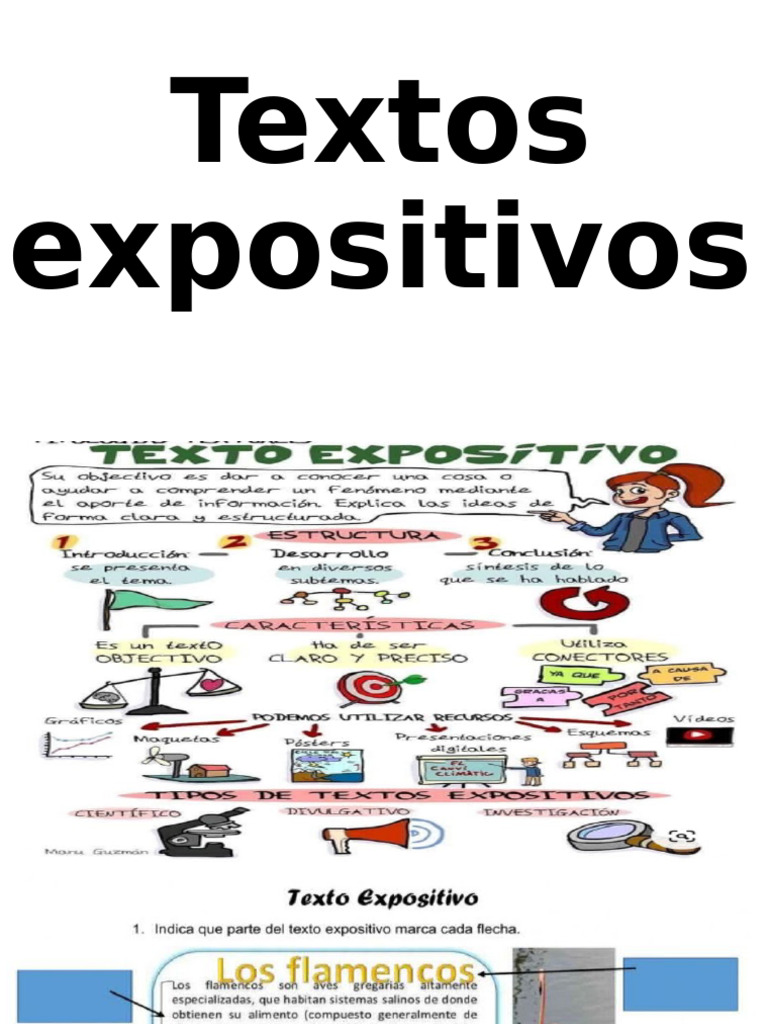 Textos expositivos | PDF