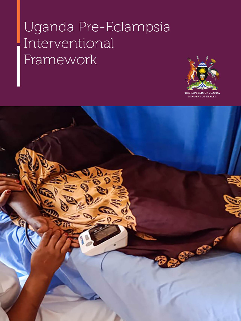 PET Implementation Framework | PDF | Maternal Death | Human Pregnancy