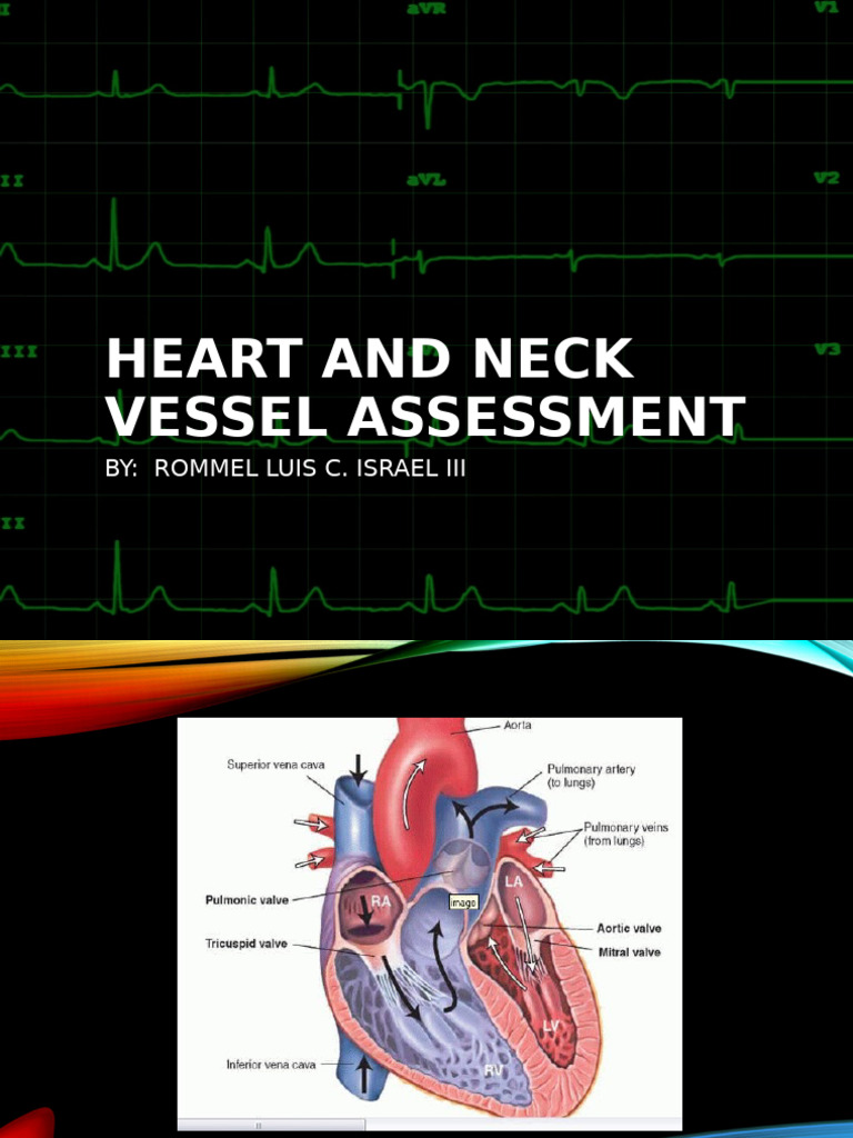 Heart and Neck Vessel Assessment | PDF | Pulse | Heart