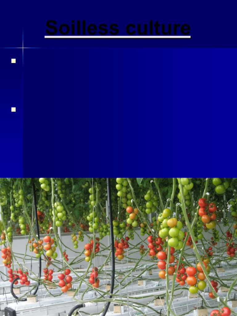 7 Soilless Culture Systems | PDF | Hydroponics | Botany