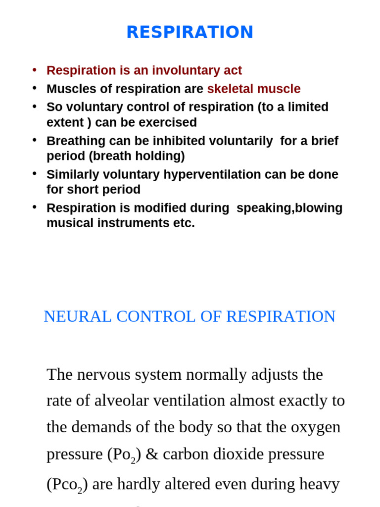 Control of Respiration | PDF | Physiology | Respiration