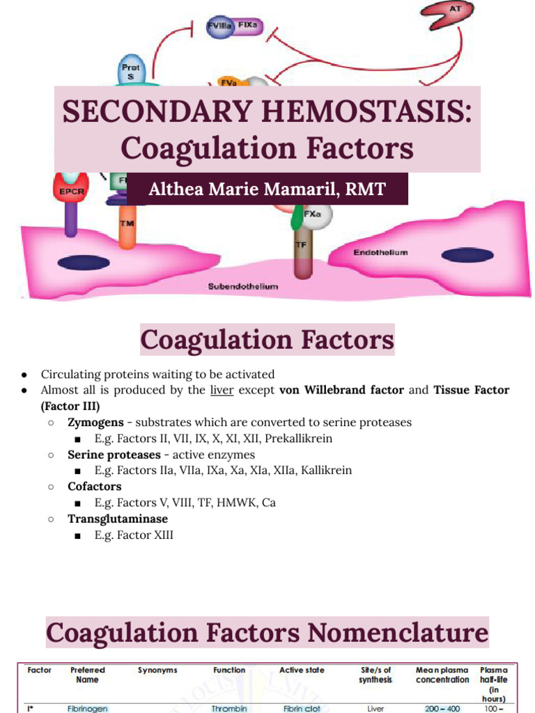 Coagulation Factors | PDF