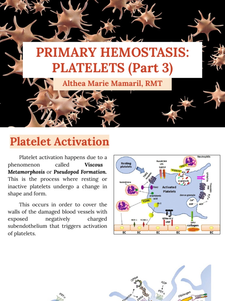 Platelet Functions Pdf