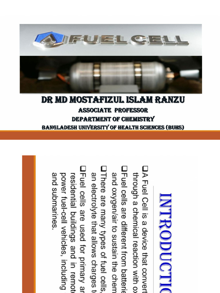 Fuel cell | PDF