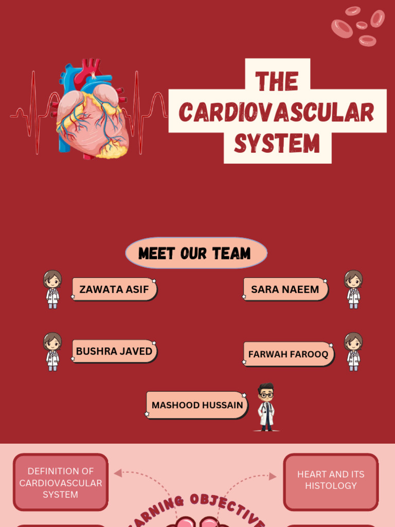 The Cardiovascular System | PDF | Heart Valve | Heart
