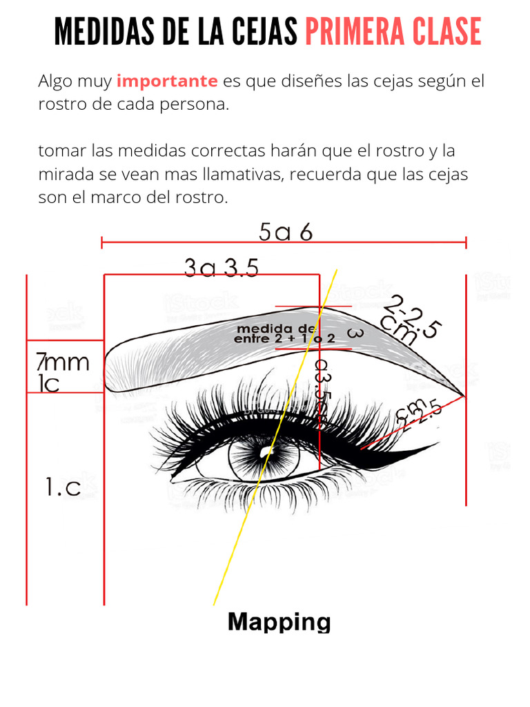 Medidas Perfectas para Diseñar Cejas | PDF