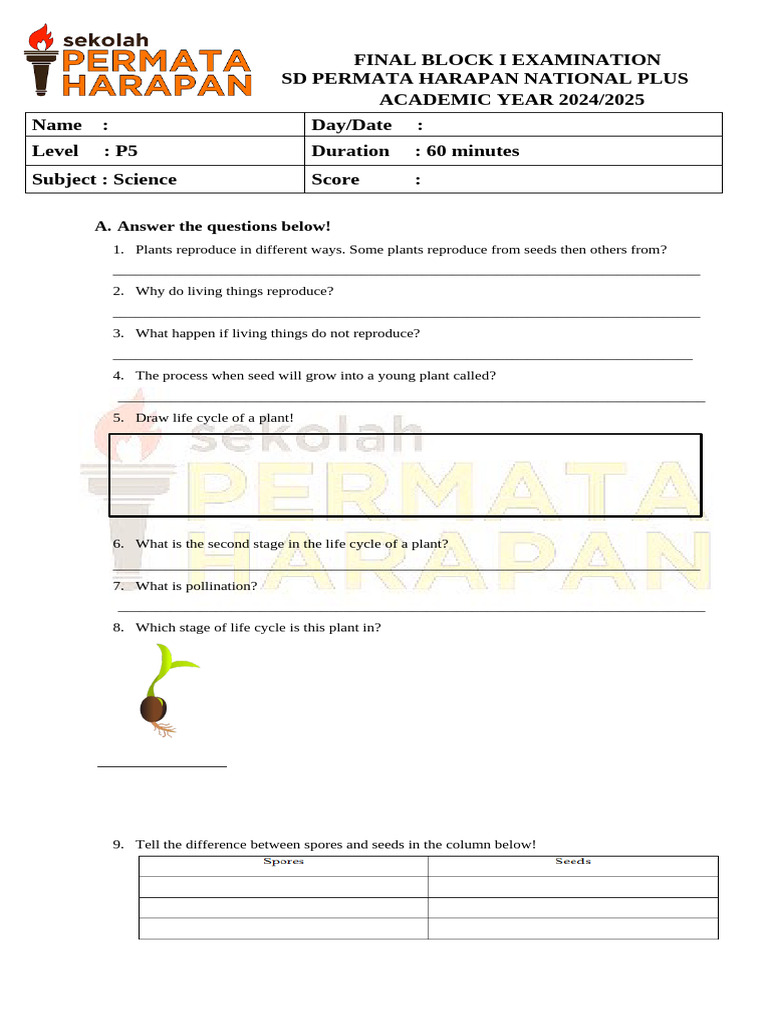 P5 Mid Scince Block 1 | PDF