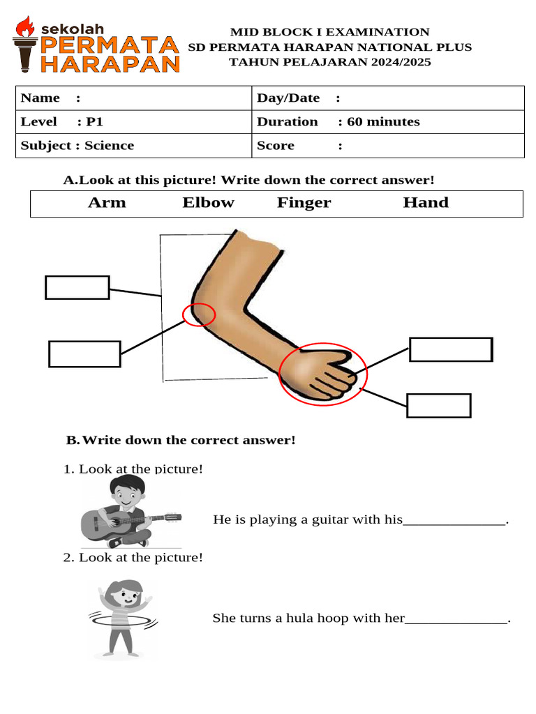 Science Grade 1 Mid 1 | PDF