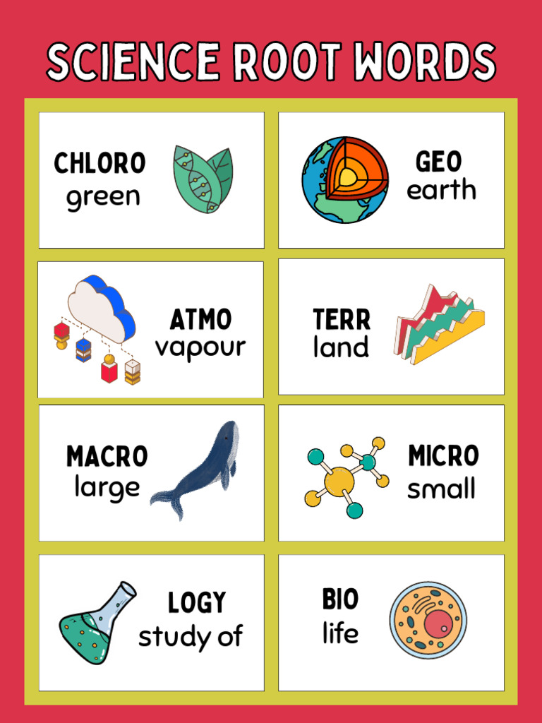 Science Root Words English Poster Colourful Illustrative | PDF