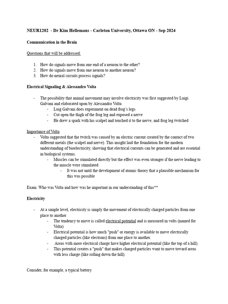 Lecture #4&5 - Communication in The Brain | PDF | Chemical Synapse | Excitatory Postsynaptic ...
