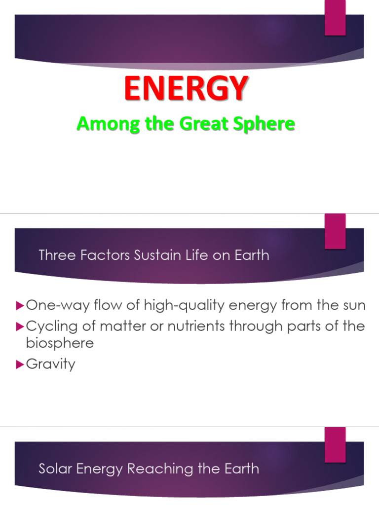 Earth Science Energy Flows | PDF | Ecosystem | Food Web