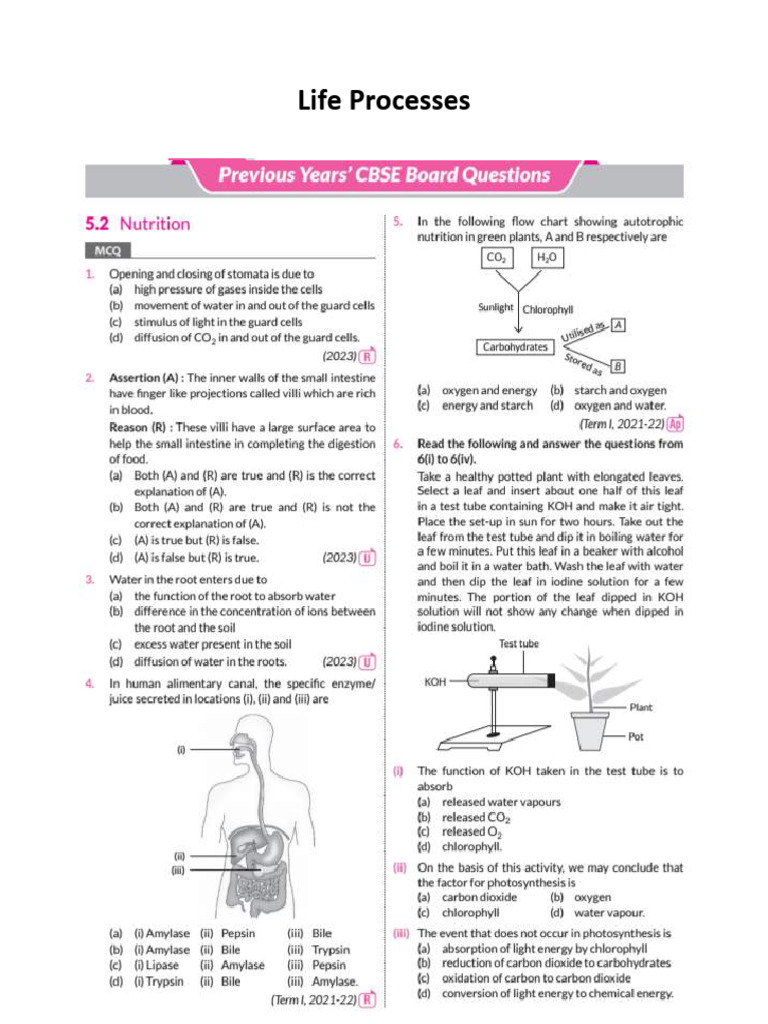 Life Processes Pyqs 1 | PDF