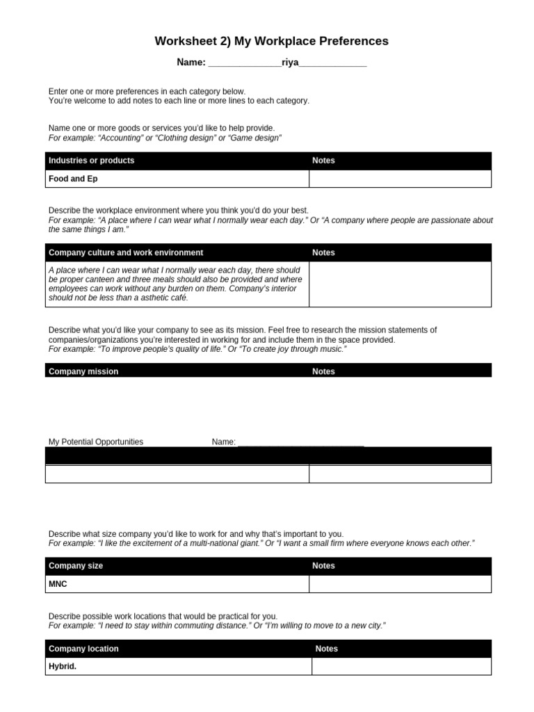 Worksheet 2-My Workplace Preferences | PDF