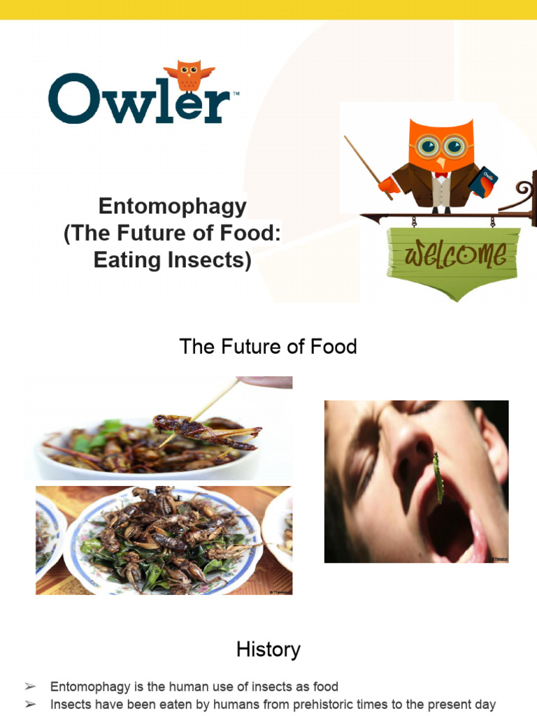 3 Entomophagy | PDF | Natural Environment | Agriculture