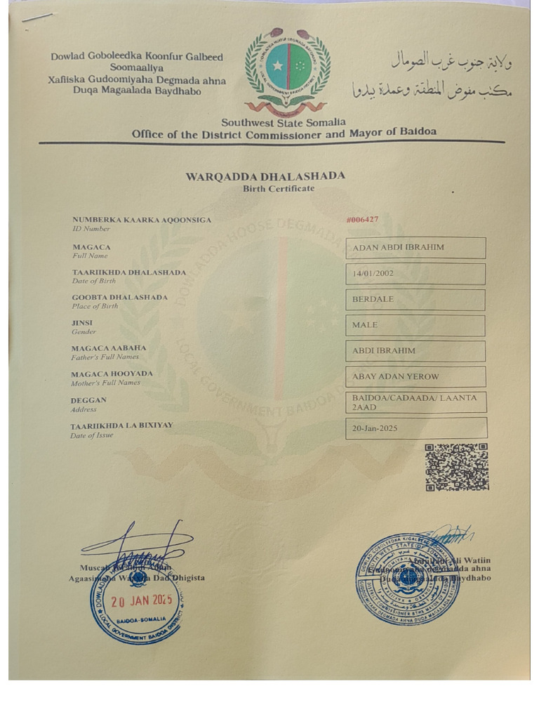 ACE Scanner - 2025 - 01 - 21 | PDF