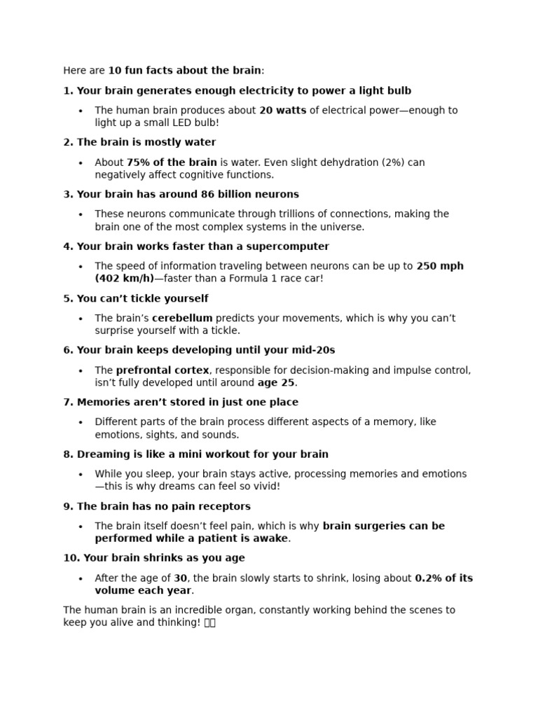 Fun Facts About The Brain | PDF