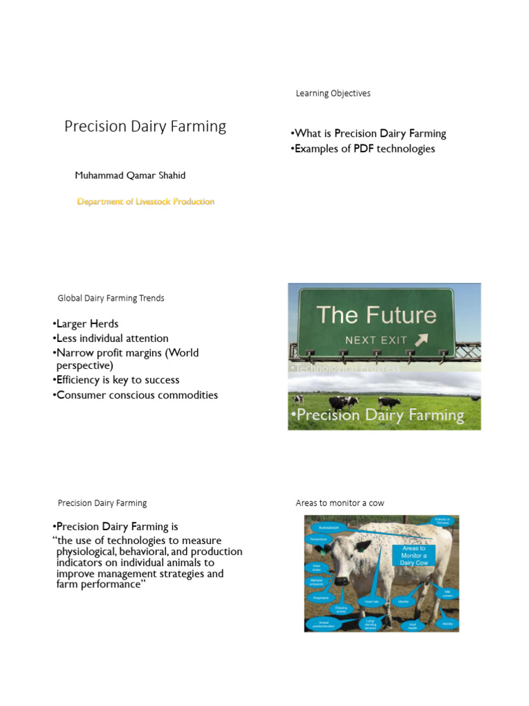 Precision Dairy Farming Insights | PDF | Dairy Farming | Dairy