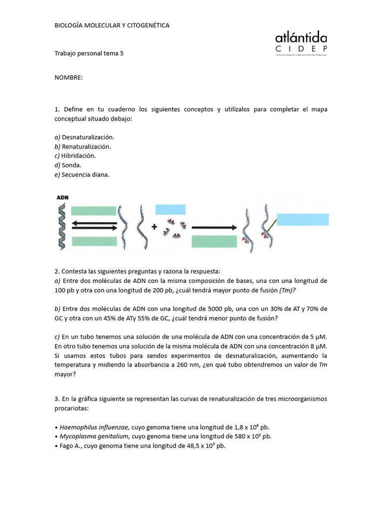 Ejercicio Personal Tema 5 (1) - 1 | PDF | Blot (biología) | Hibridación de ácido nucleico