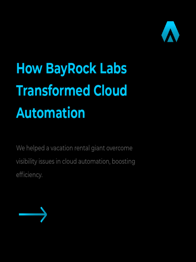 How BayRock Labs Delivered | PDF