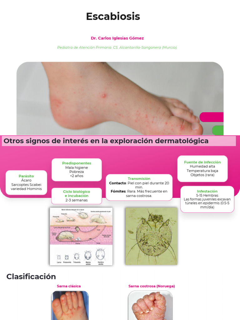 Dermatologia M11 Escabiosis Def | PDF | Dermatología | Enfermedades ...