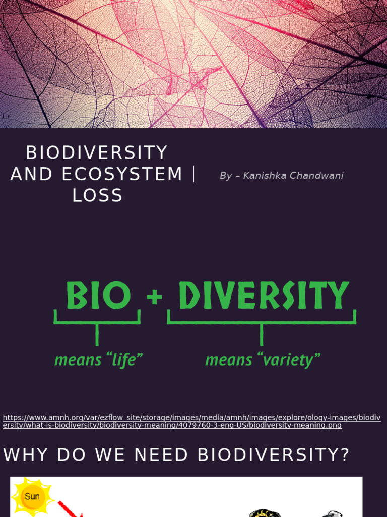 Biodiversity and Ecosystem Loss Explained | PDF | Ecosystem | Biodiversity