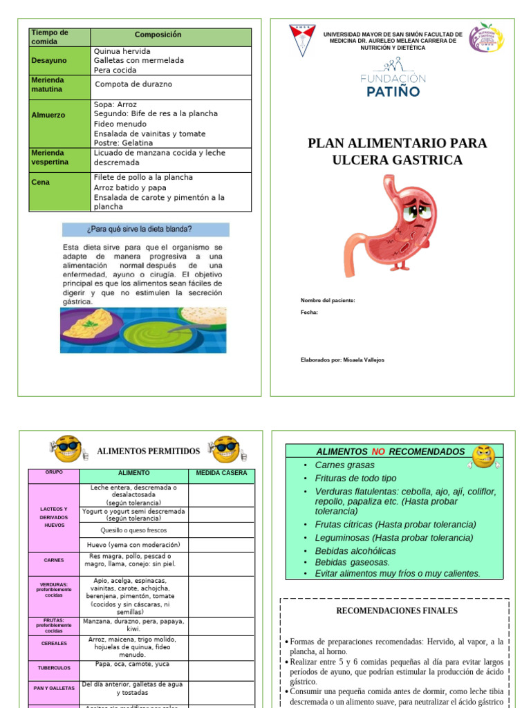 Plan Alimentario para Salud Digestiva | PDF | Alimentos | Panes