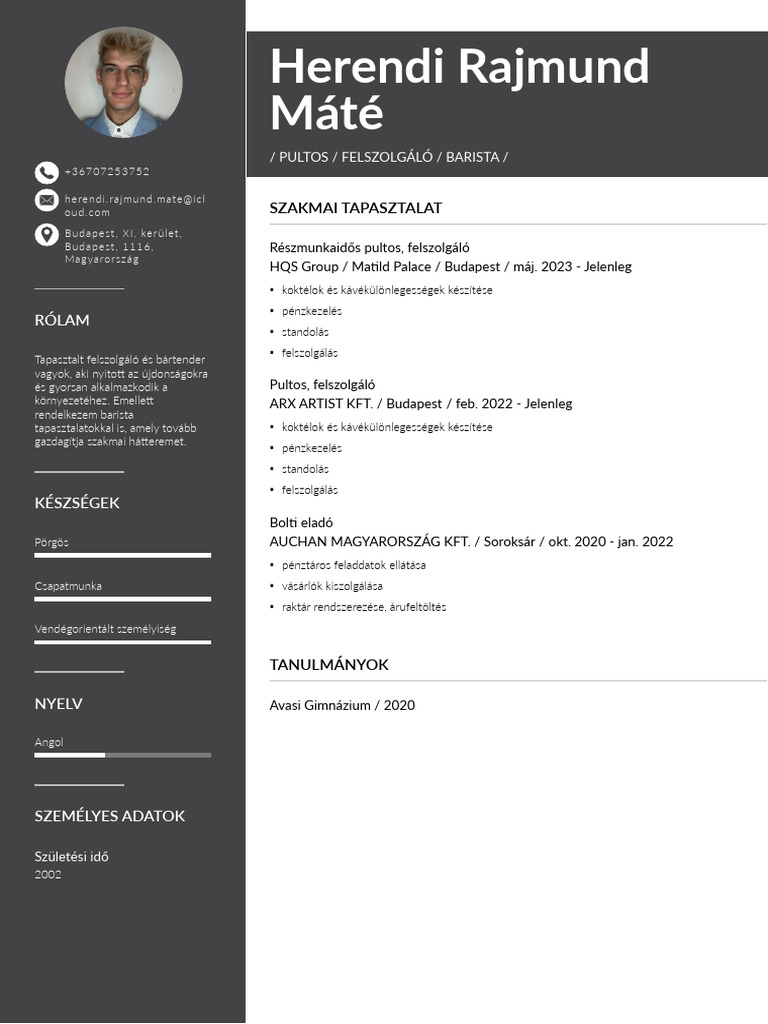 Herendi Mate CV HUN | PDF