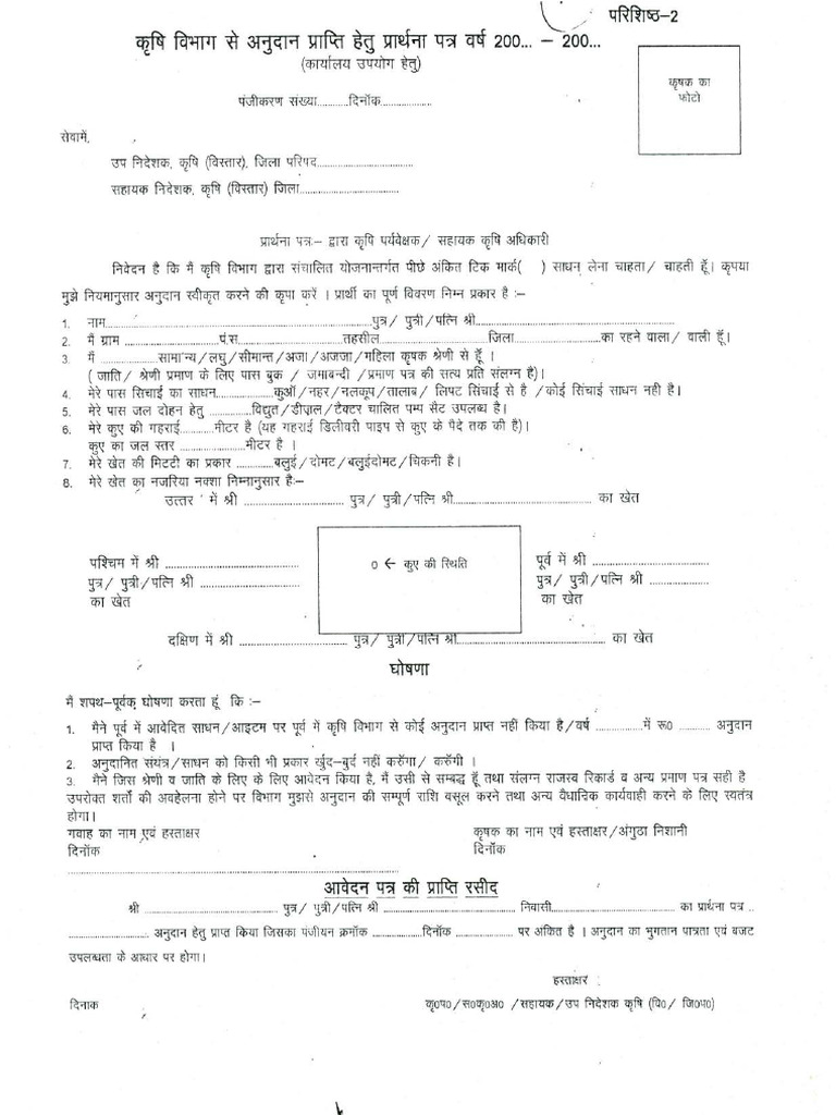 Digi Subsidy Form | PDF