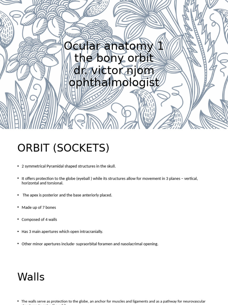 Ocular Anatomy 1 | PDF | Eye | Primate Anatomy