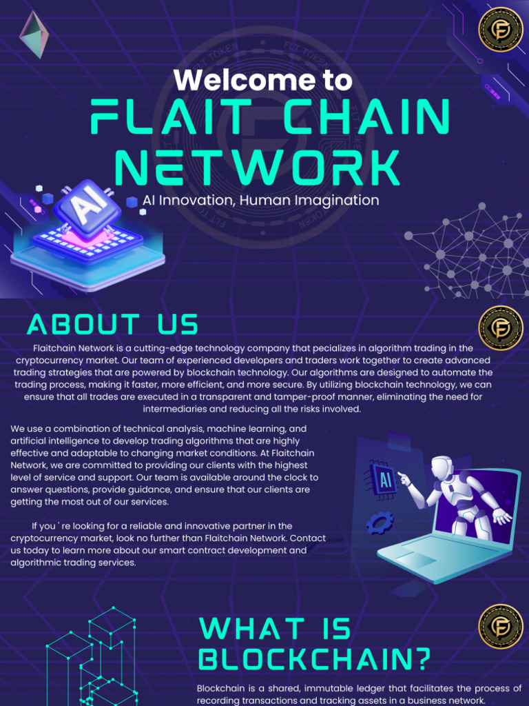 FLT Coin 2024 | PDF