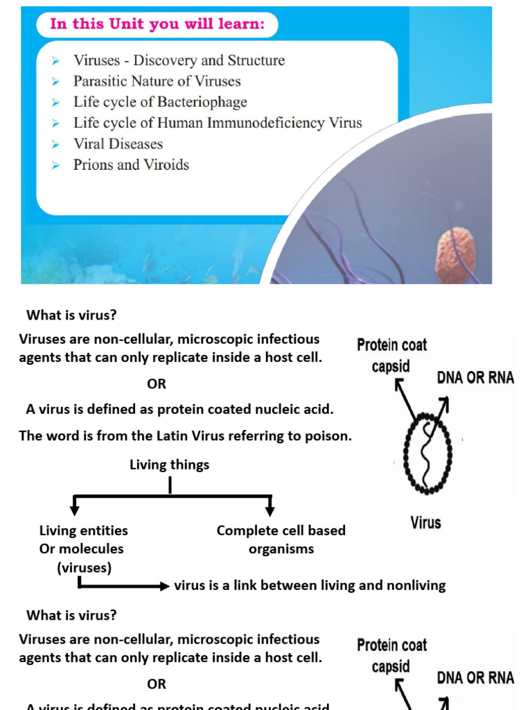 Chapter 5 Acellular Life (Part 1) | PDF | Virus | Microorganism