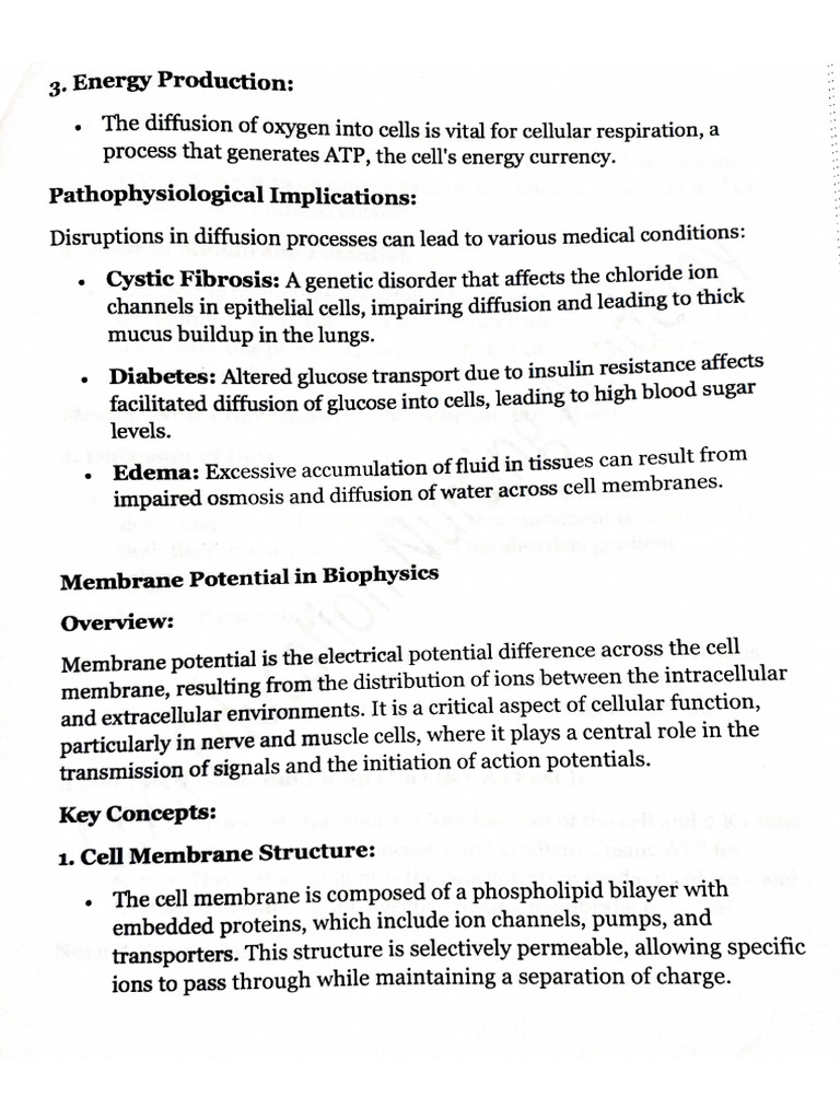 Membrane Potential | PDF