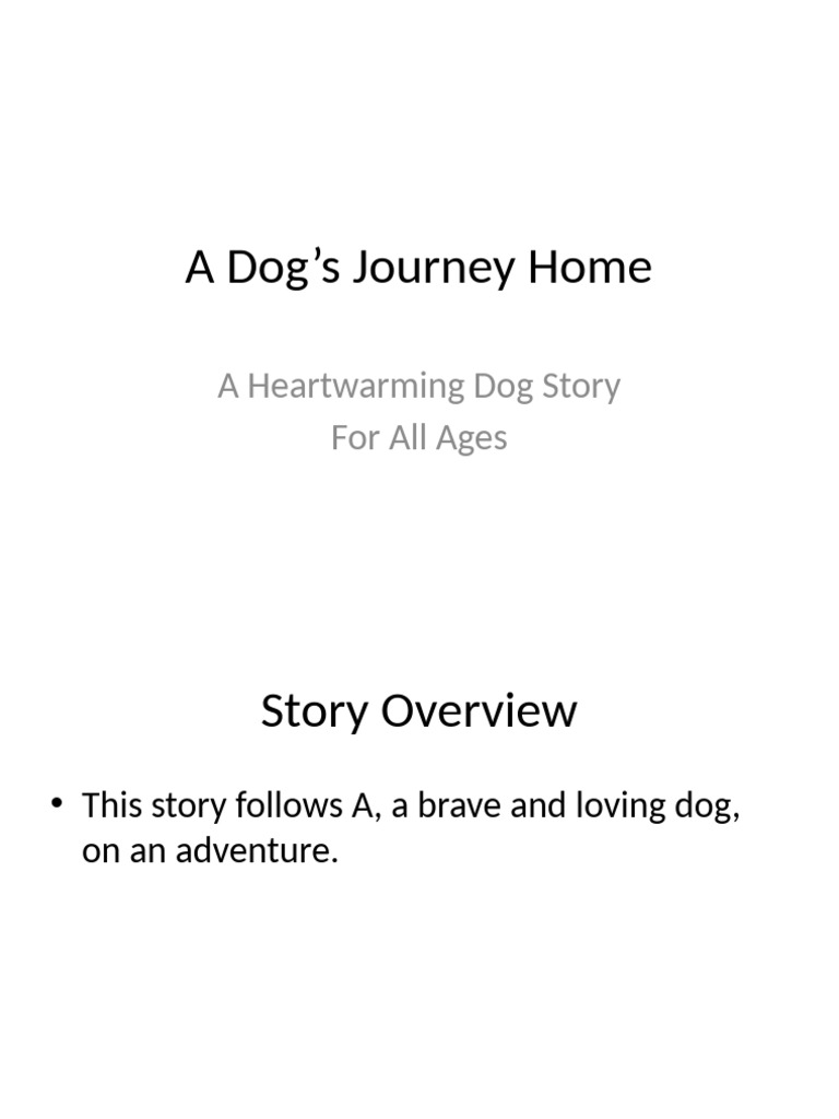 A Dog's Journey Home | PDF
