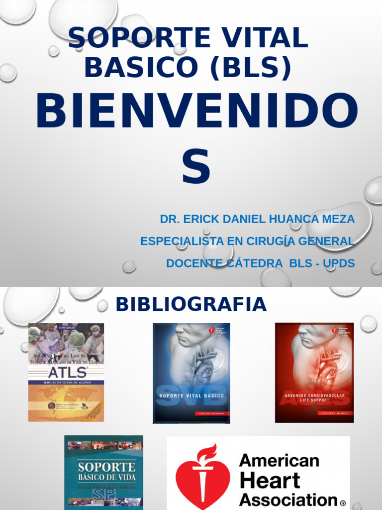 Introduccion Al SVB | PDF