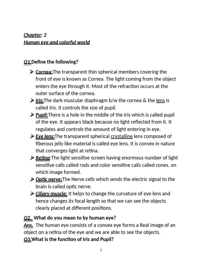Human Eye | PDF | Eye | Human Eye