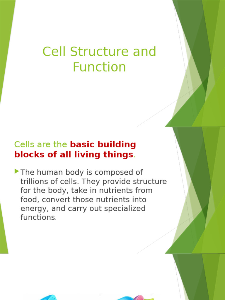 Cell Structure and Function | PDF