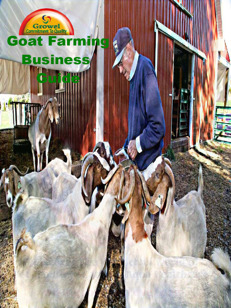 Goat Farming Business Guide | PDF | Sheep | Goat